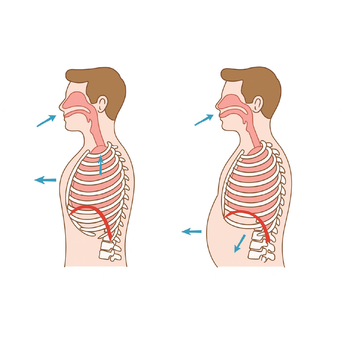 Shortness of Breath = Shortened Endurance